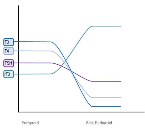 Archive Euthyroid Sick Syndrome
