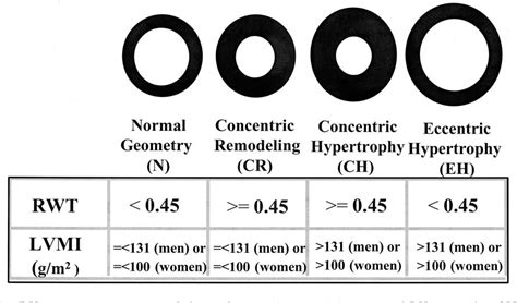 Concentric Hypertrophy Semantic Scholar