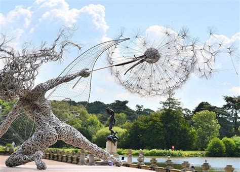 Dallapee Enter The Fridges At The Back To Enter The Normal Back