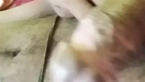 Ark Gay Porn Videos Sex Model Nudes Xhamster