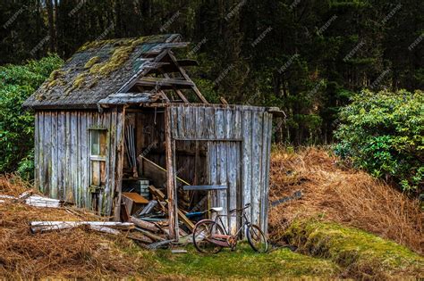 Premium Photo Abandoned Shed
