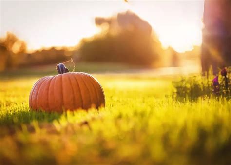 How Cold Fronts Are Shaping Fall Weather In Oklahoma