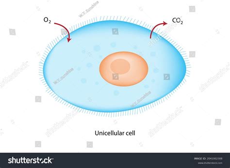 Gas Diffusion Images Stock Photos Vectors Shutterstock