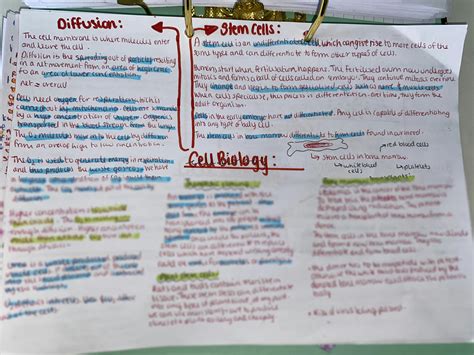 Solution Gcse Biology Cell Biology Mind Map For Stem Cells And