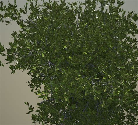 árbol Modelo 3d 2 Unknown Free3d