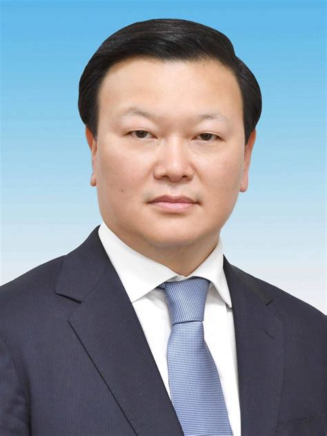 Сведения о руководстве