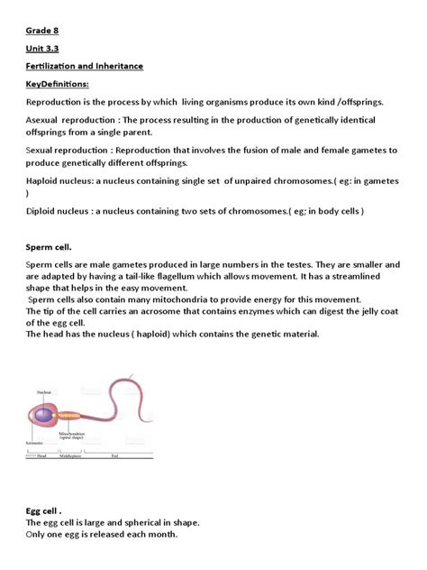 Grade 8 Notes Unit 33 Pdf