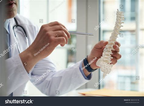 imágenes de Lesion medular Imágenes fotos y vectores de stock Shutterstock