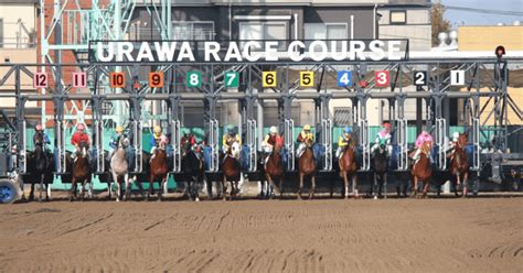 【浦和🔥爆穴勝負レース👊🔥】811金【2r】ランチタイムチャレンジ C3七八九 （発走時刻1240）｜さやだま