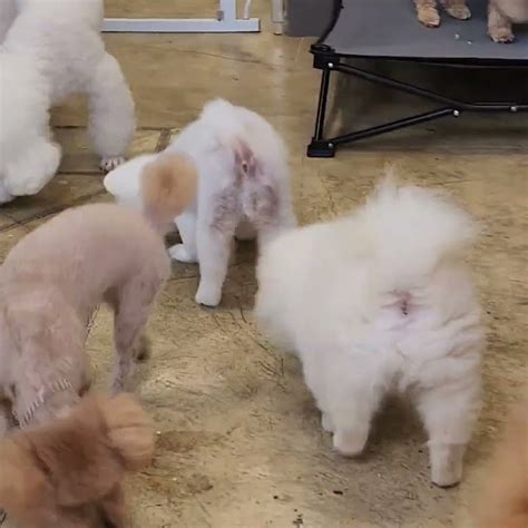 친구들이랑 간식시간😊 Youtube