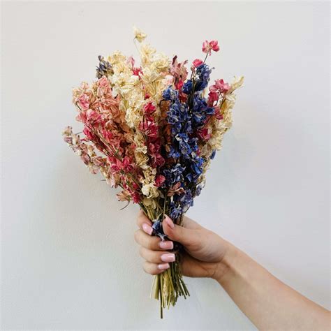 Small Bunch Of Dried Delphinium Farm House Collection