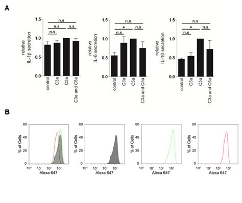 Anaphylatoxins Activate Ca2 Aktpi3 Kinase And Foxo1foxp3 In The