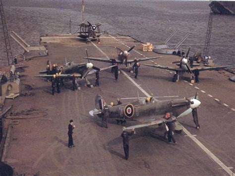 The Royal Navy Seafire Wwii Aircraft Fighter Aircraft Military
