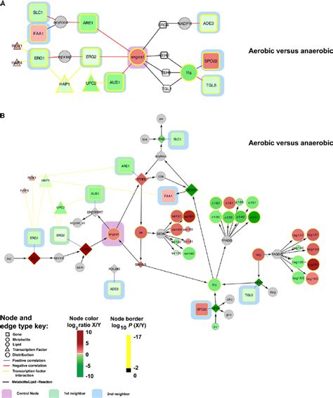 integrative method for correlation of multi omics datasets reveals