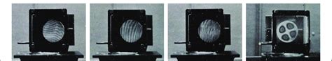 photographs of interference between a hologram reconstruction and the