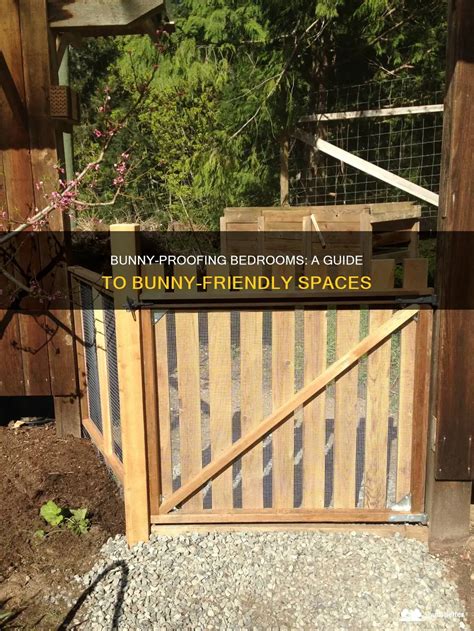 Bunny Proofing Bedrooms A Guide To Bunny Friendly Spaces Shunshelter
