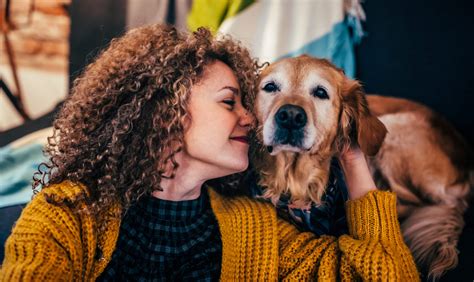 Cadet® Braf Plus Antech Diagnostics Test Service