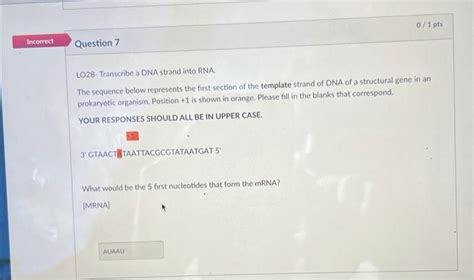 Solved LO Transcribe A DNA Strand Into RNA The Sequence Chegg