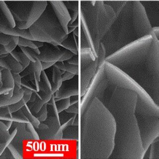 AC FESEM Images Of CCS NF D TEM Image Of CCS Sample Download Scientific Diagram