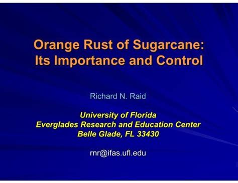 Orange Rust Of Sugarcane Its Importance And Control Cedaf