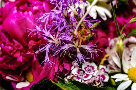 Large Bright Multi Colored Bouquet Of Wildflowers Stock Image Image