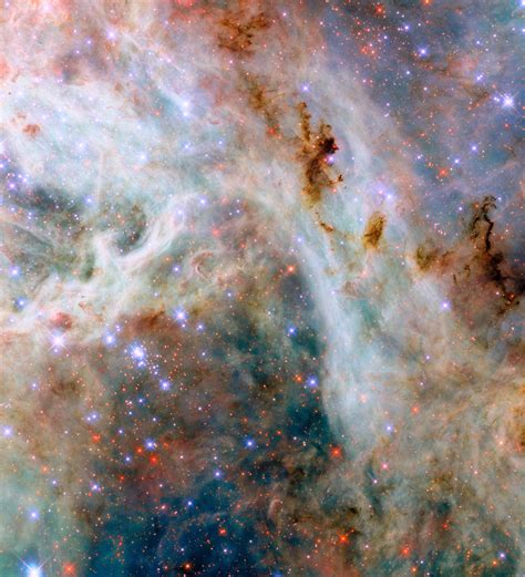 Tarantula Nebula Stunning Image Of The Tarantula Nebula · Free Stock