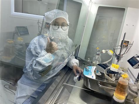 Permanent Sterility At Erik Cox Blog