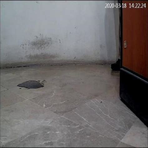 Spill Dataset Object Detection Dataset By Waleeds Workspace