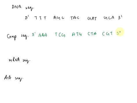 Nucleotide Sequence