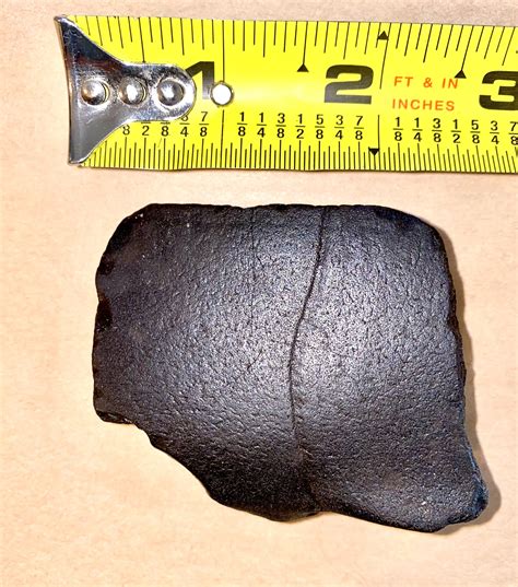 Help Identifying Fossil Id The Fossil Forum