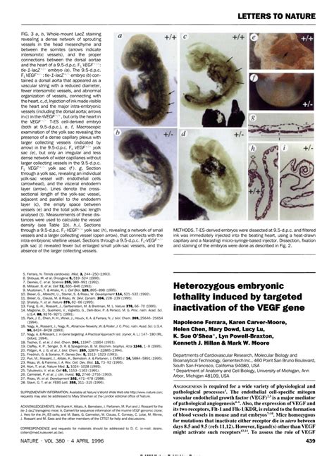 Pdf Heterozygous Embryonic Lethality Induced By Targeted Inactivation