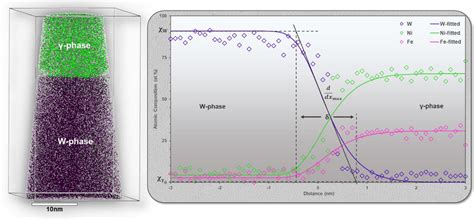 Left APT Reconstruction Of IPB Region Showing W In Purple Ni In