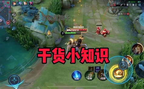 哇这个宝藏up主懂得太多啦必须三连 老实人狗子李信 老实人狗子李信 哔哩哔哩视频