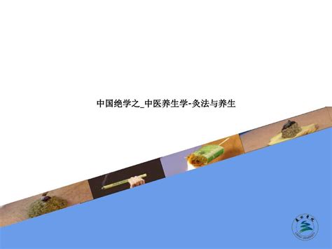医学 中国绝学之中医养生学 灸法与养生word文档在线阅读与下载无忧文档