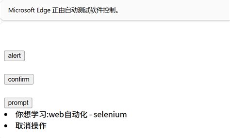 Selenium Java版（实战技巧） Csdn博客