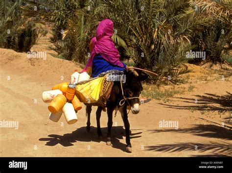 Teen Girls In A Donkey Show Telegraph