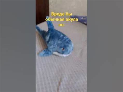 IKEA aкула из икеи - YouTube