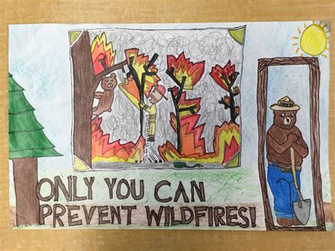 2019 Smokey Bear Poster Contest Winners Chosen Utah Associated Garden