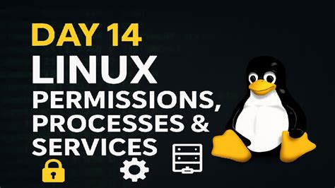 90 Days Devops Challenge Day 14 Linux Permissions Processes