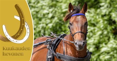 Kuukauden Hevonen Main Stage Teki Iskun Kaikista Kovimpien Joukkoon Olin Aina Ajatellut