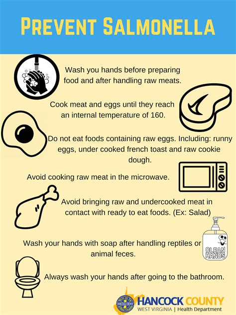 Salmonella Signs Symptoms And Complications