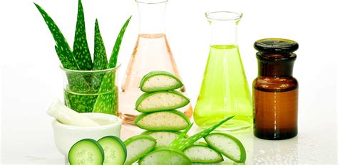 Soothing Aloe Vera Body Lotion