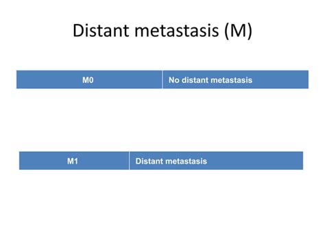 Tnm Classification For Hepatocellular Carcinomapptx Cancer