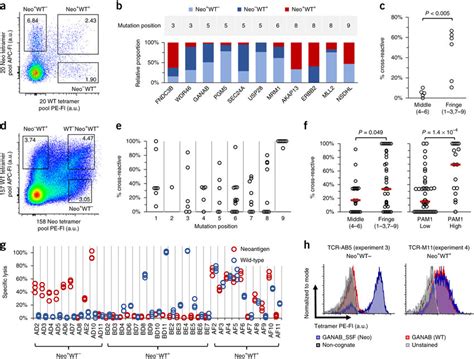 High Prevalence Of Neoantigen Binding T Cells That Cross React To Wt