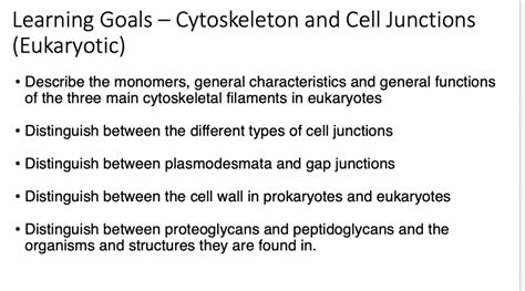 Lecture 6 Midterm 2 Diagram Quizlet