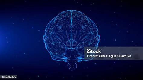 파란 빛 정면도 가벼운 발적 반짝임 입자를 가진 3d 인간 두뇌 해부학 Wireframe 홀로그램 X 레이에 대한 스톡 벡터