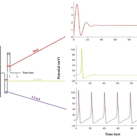 Effect Simulation Of 3 Rectangular Pulse Currents On Action Potential