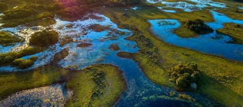 Pantanal Tudo O Que Você Precisa Saber Sobre O Destino Blog Koa Viagens