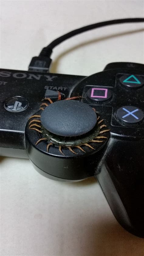 An Old Friend R Creepy