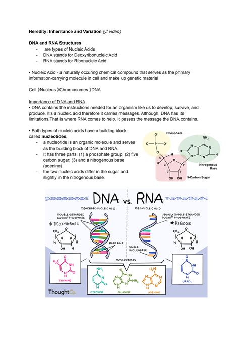 Heredity Inheritance And Variation Deped Module And Yt Videos